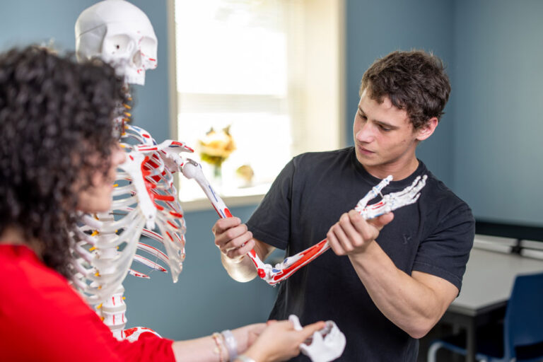 Physical Therapist Assistant Program | Lackawanna College