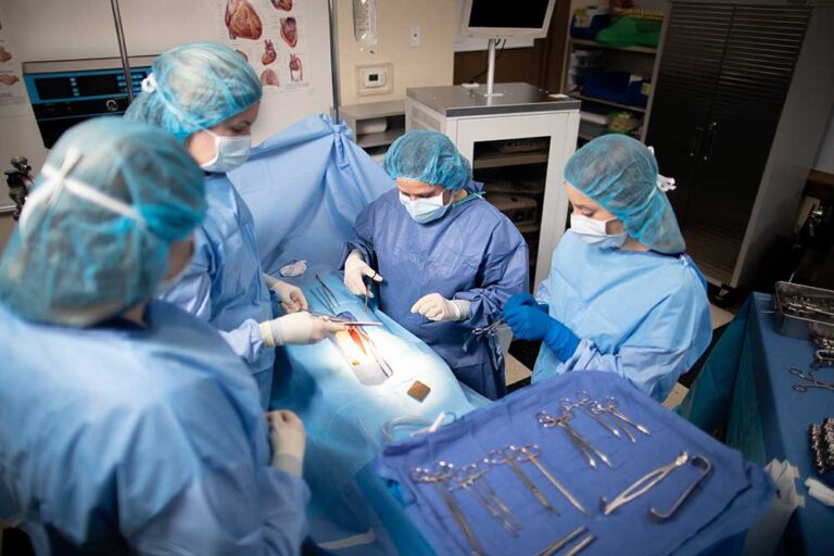 Associate Degree in Surgical Technology | Lackawanna College